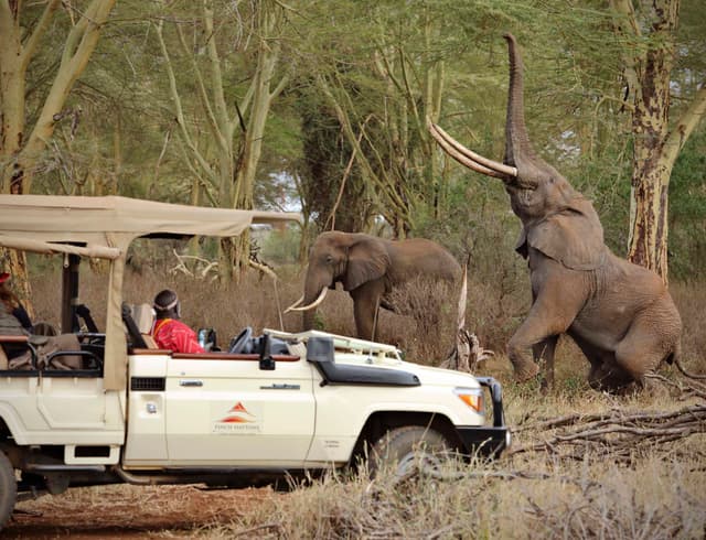 3-Day Queen Elizabeth Safari | Wildlife & Boat Cruise | Arrive Africa ...
